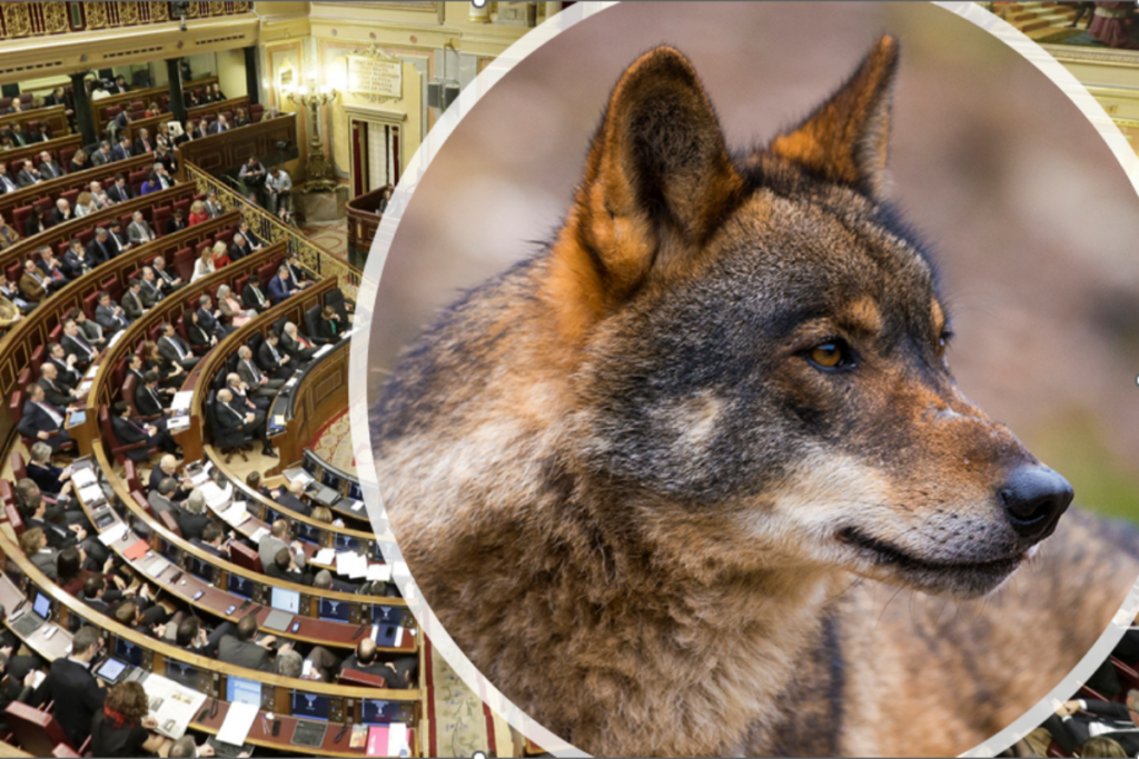Beneficios de la Exclusión del Lobo del LESPRES: Un Paso hacia el ...